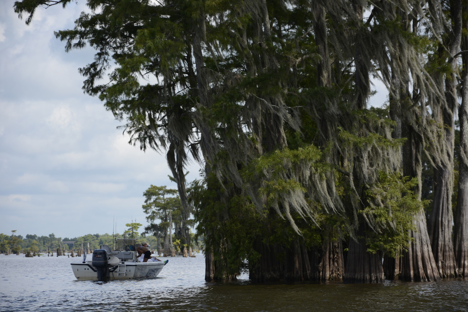 Boating in Bayou Country - Quimby's Cruising Guide